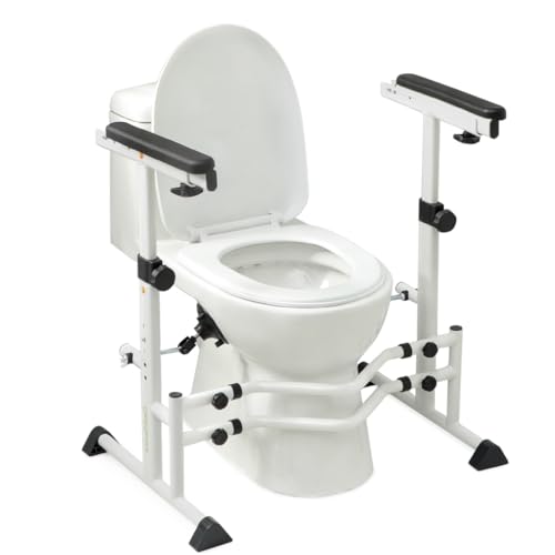 OasisSpace Toilet Safety Rails - Stand Alone Toilet Rail 350lbs ...