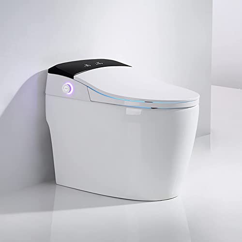 RIGEL Smart Toilet One Piece Toilet with Foam Shield - Smart Bidet ...