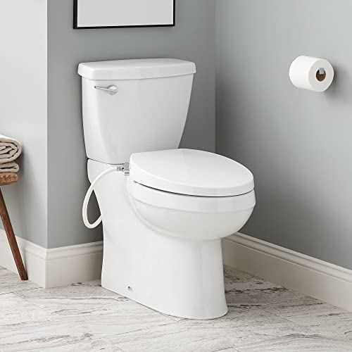 Signature Hardware 481680 Bradenton 1.28 GPF Two Piece Elongated Toilet ...
