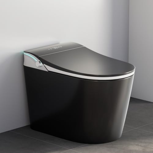 WinZo Smart Toilet,Tankless Toilets Dynamic Clean with Dryer, ADA ...